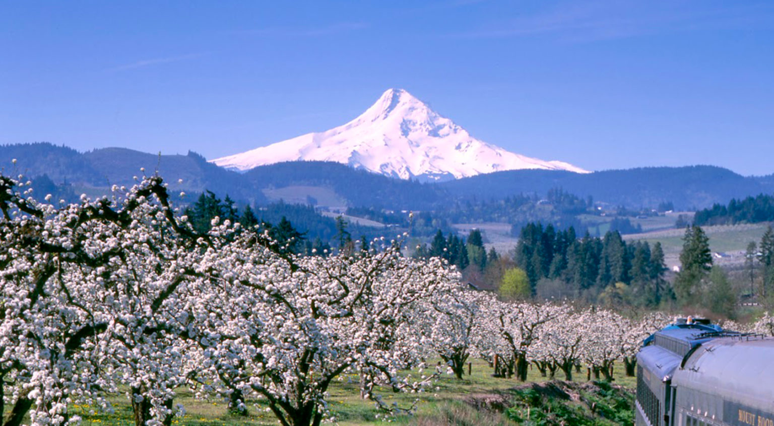 Home Page - Visit Hood River