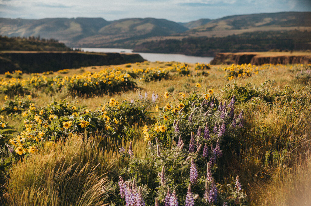 A Wildflower Wonderland in Hood River - Visit Hood River