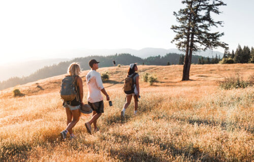 Hood River Fruit Loop - Visit Hood River