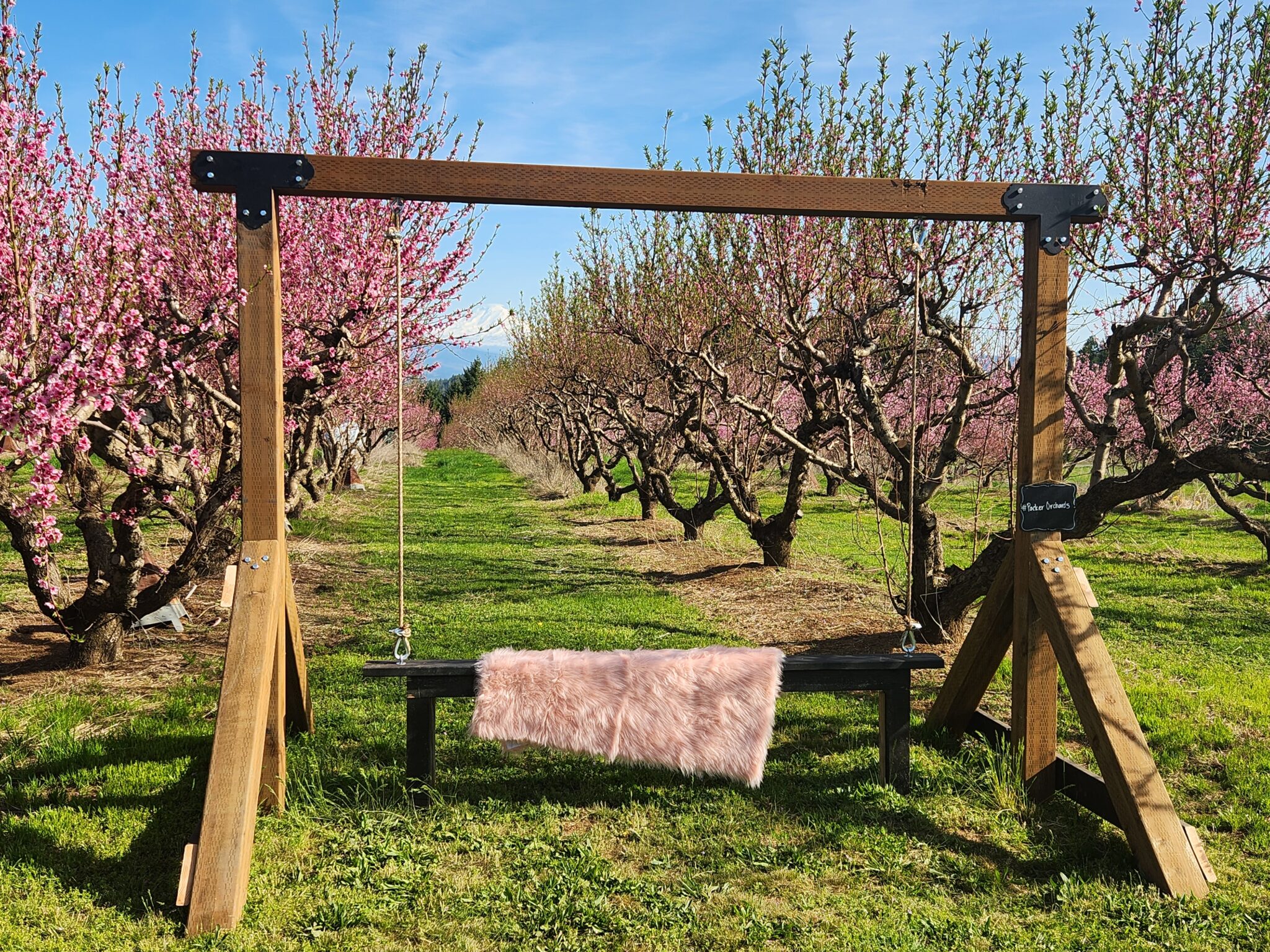 Packer Orchards Farm Market & Bakery - Visit Hood River